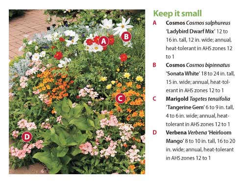 Slide show: Make color work for you | Garden Gate