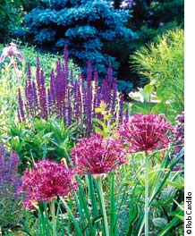 Design a breathtaking spring combo | Garden Gate