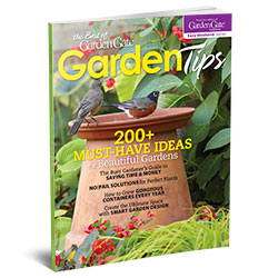 Backyard inspiration | Garden Gate