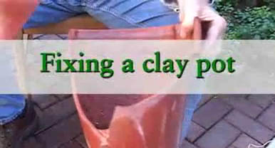 Video: Fixing clay pots | Garden Gate