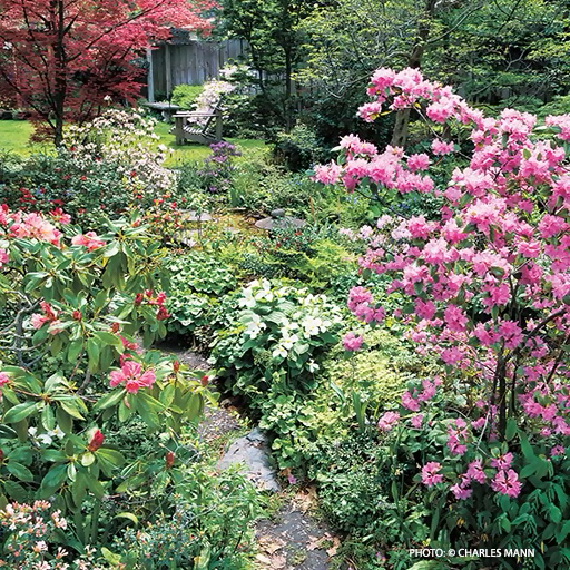 Spring garden splendor! | Garden Gate