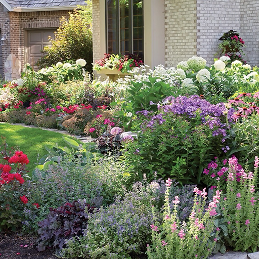 Dazzle in front! | Garden Gate