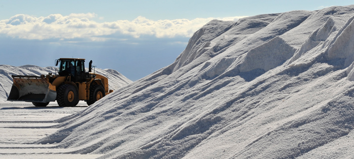 Working at Morton Salt | Glassdoor