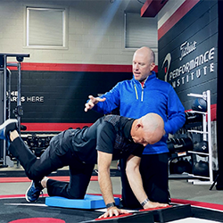 A Hybrid Approach to Coaching and Training Golfers - Golf Fitness ...