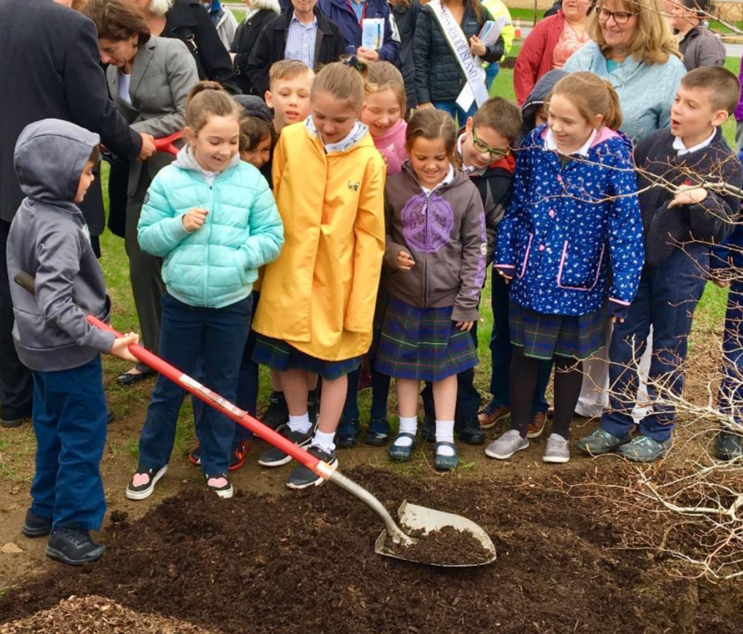 GoLocalProv | RI DEM Announces $15K in Grants for Urban Forestry Projects