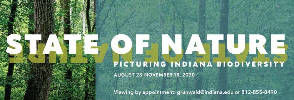 Indiana Daily Student: Events calendar for Bloomington, IN | IDS ...