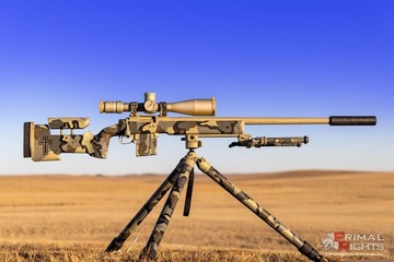 Firearm Profile Listing | GunHive