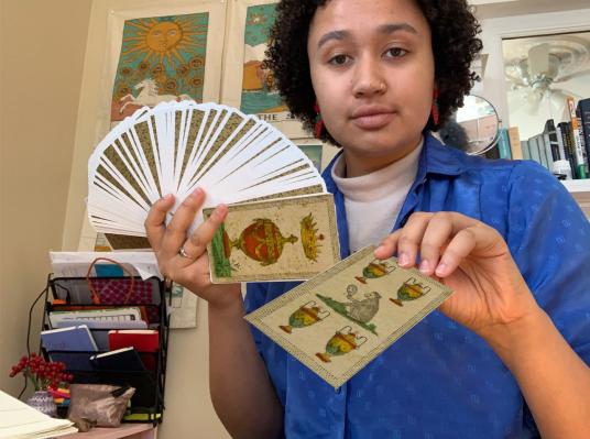 Virtual Student Guide Tour: Game Play, with Maeve Miller | Harvard Art ...