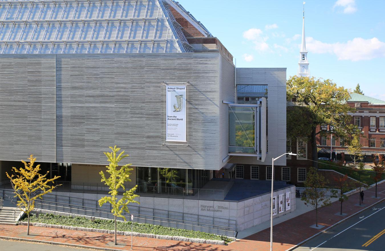 Harvard Art Museums