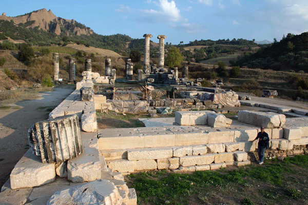 Search Results - Sardis | Harvard Art Museums