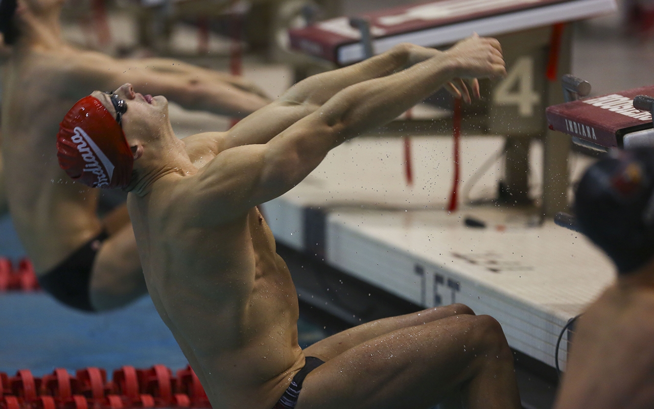 Men’s swimming and diving caps undefeated season | Indiana Daily Student