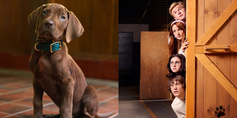 'Scooby-Doo: Origins' Gets Adorable New Cast Member as Pup Playing ...