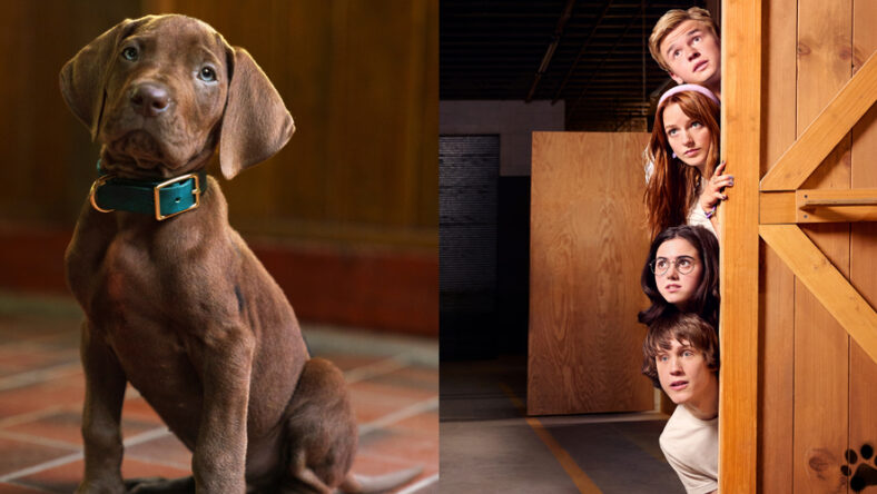 'Scooby-Doo: Origins' Gets Adorable New Cast Member as Pup Playing ...