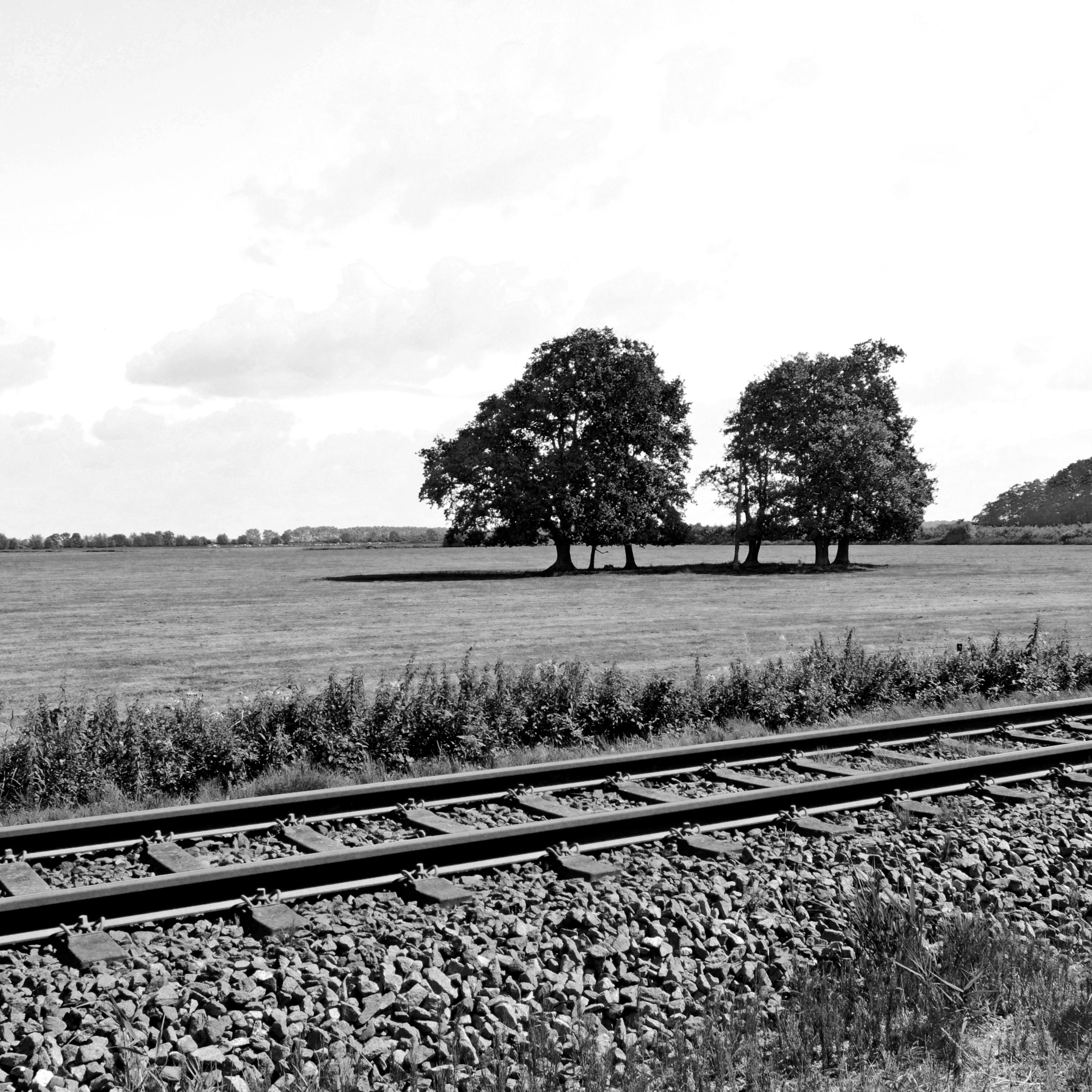 Tramm by Bummelzug:Acht | Kompakt