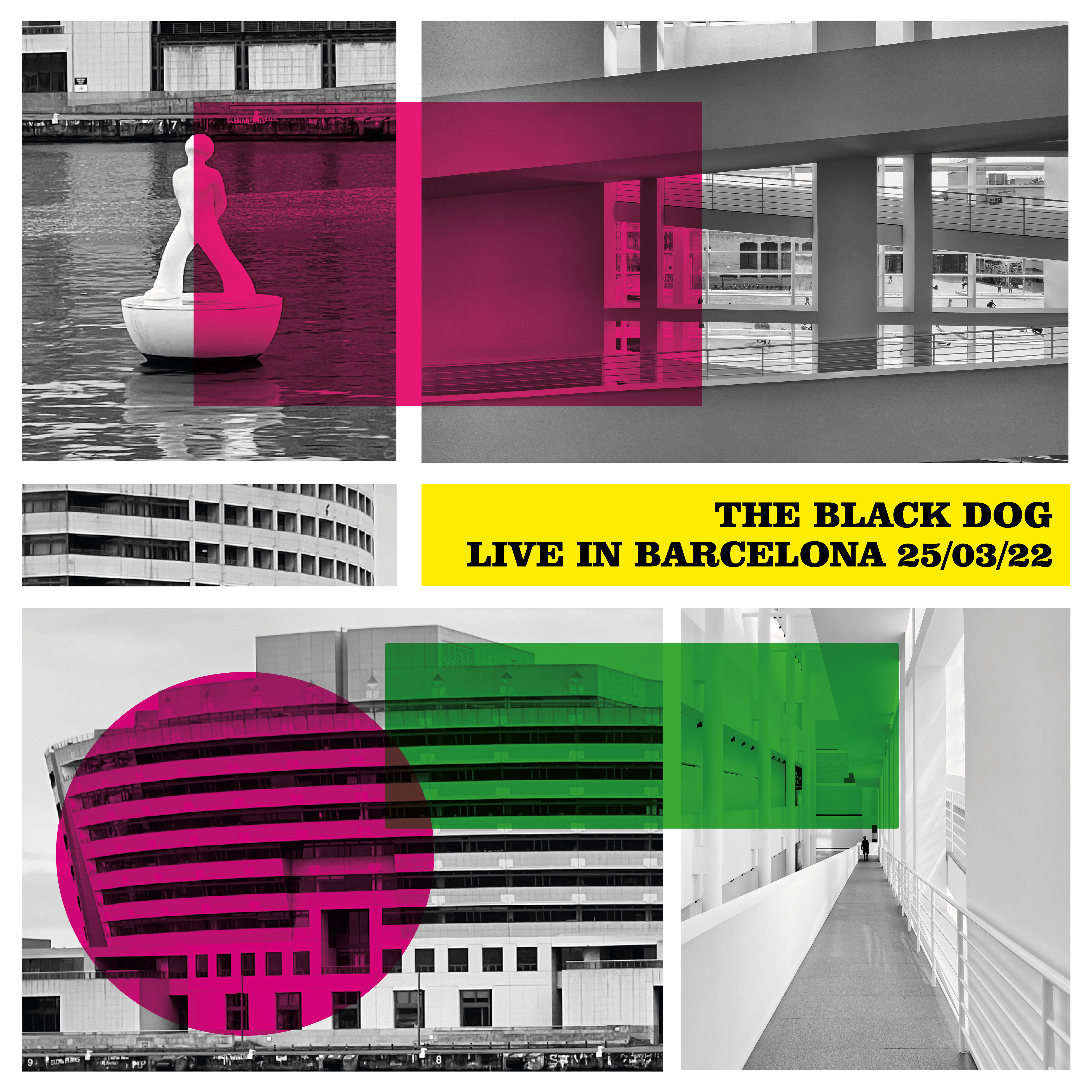 Can Dogs Live 25