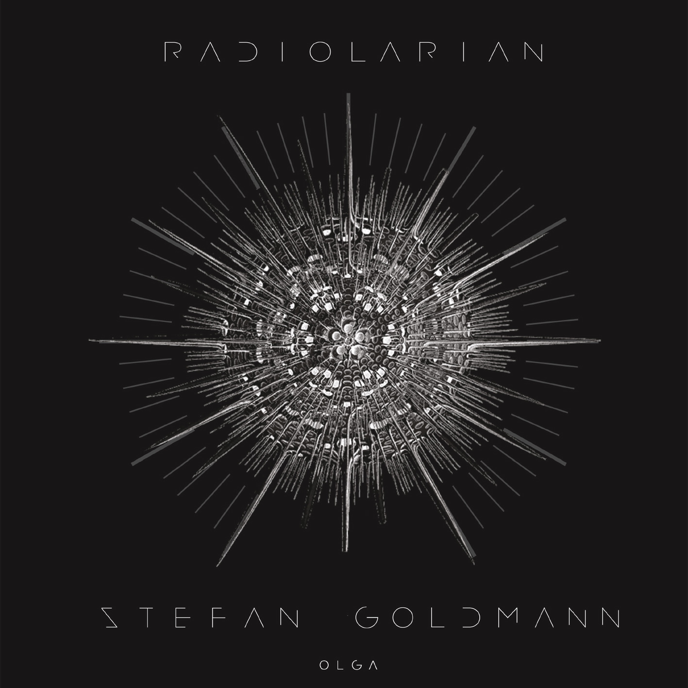 Radiolarian by Stefan Goldmann | Kompakt