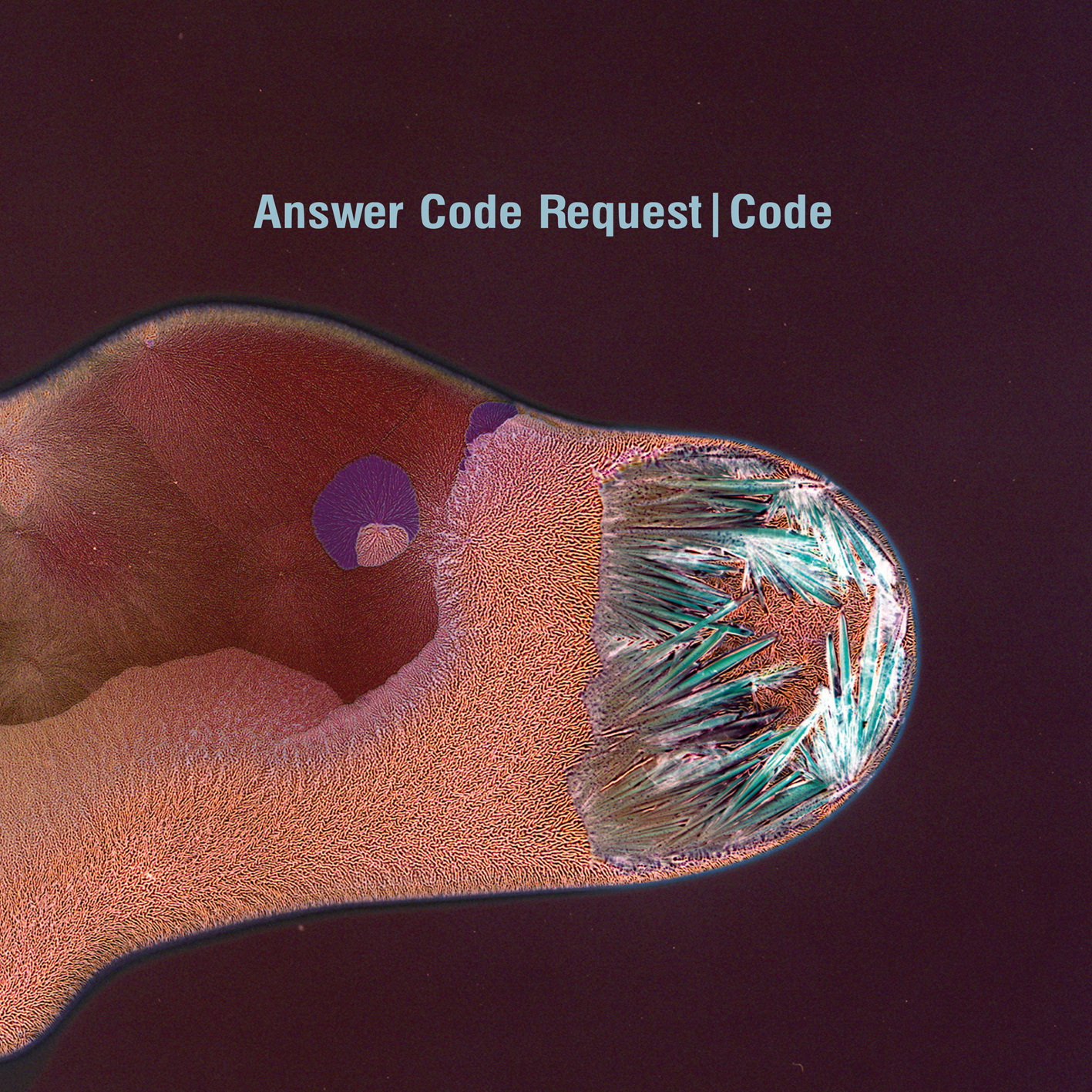 Code by Answer Code Request | Kompakt