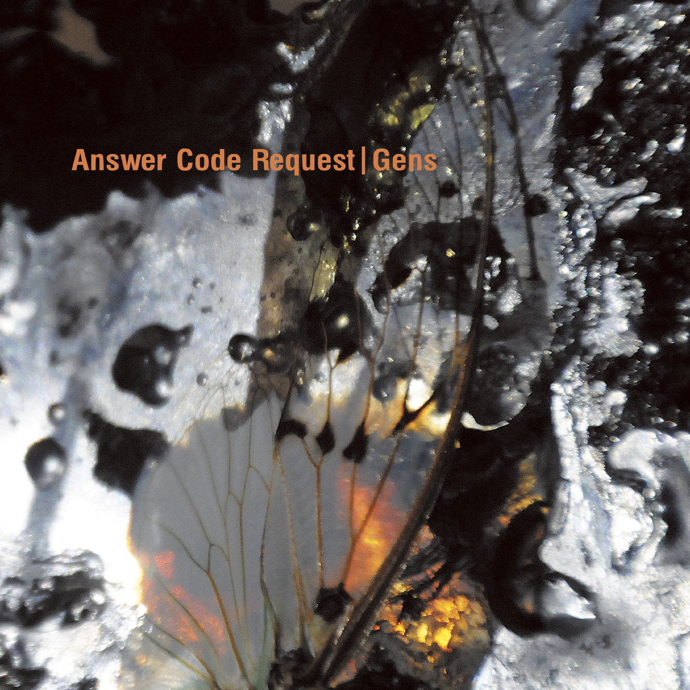 Gens by Answer Code Request | Kompakt