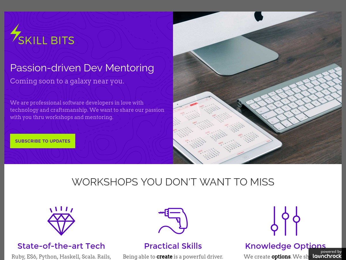 Dev Mentoring - Workshops for Devs | Skill Bits