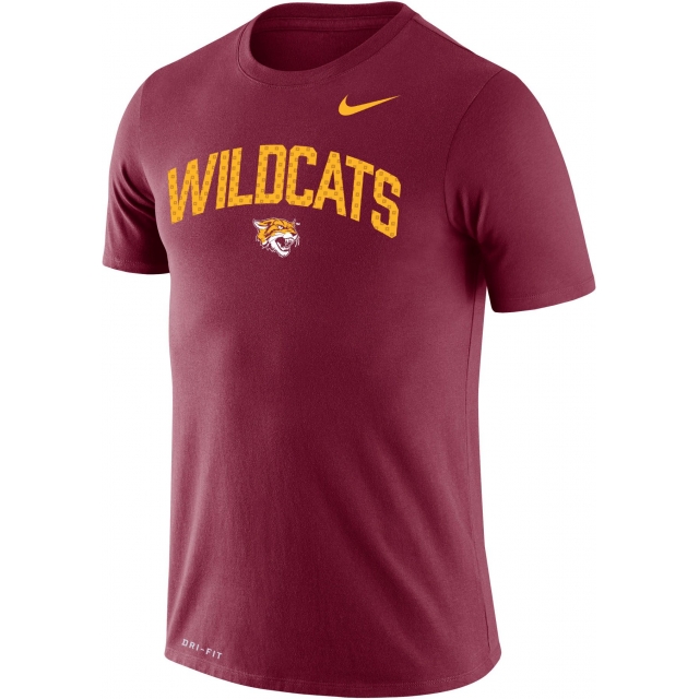 Nike / Men's Bethune-Cookman Wildcats Maroon Dri-FIT Legend T-Shirt