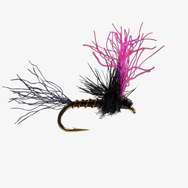 Far Bank / RIO Sparkle Flag