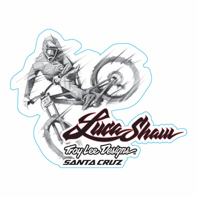 Troy Lee Designs / Sticker