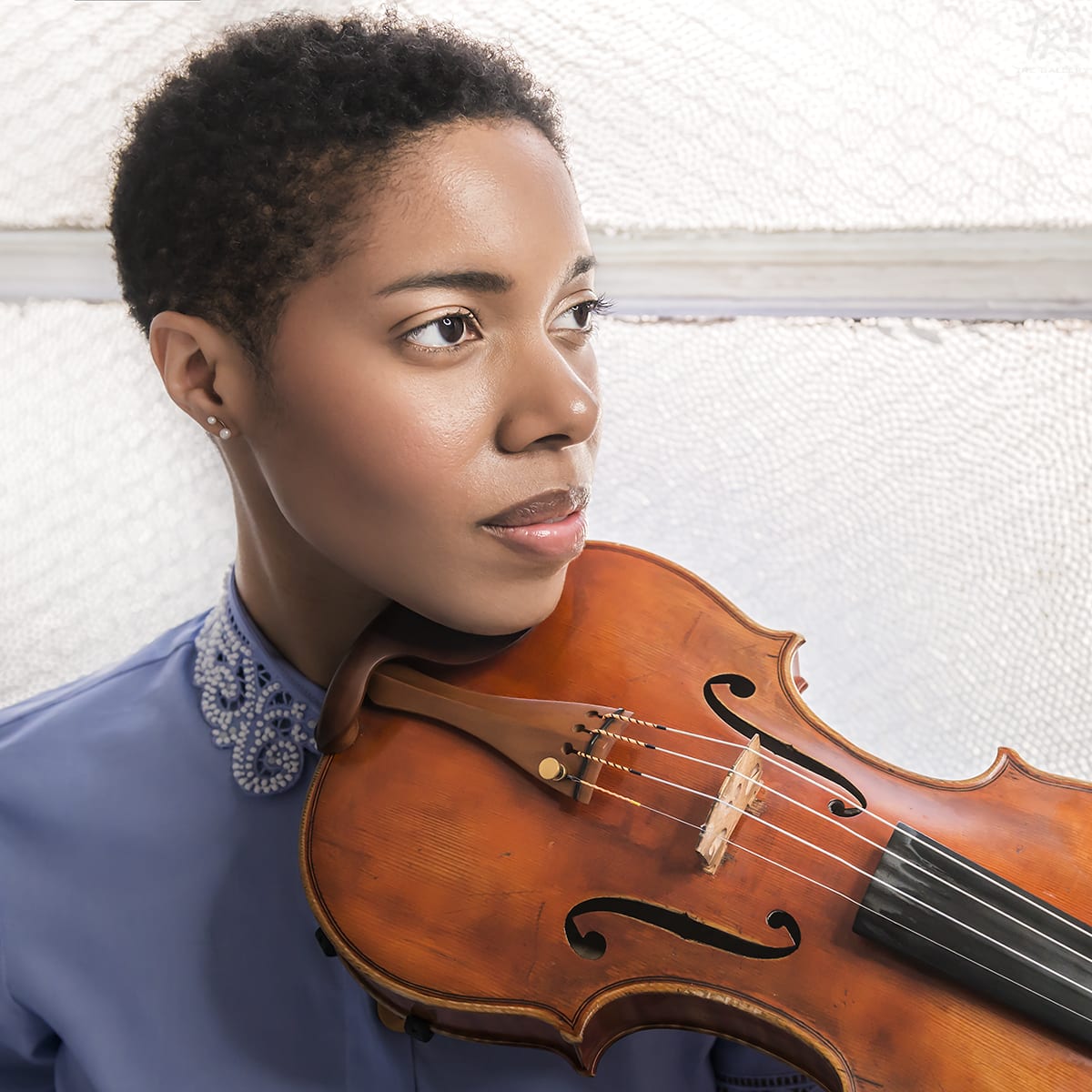 Understanding the Violin/Viola Doubler • Maestra