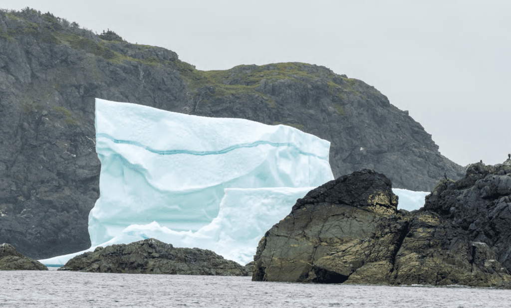 newfoundland world heritage site