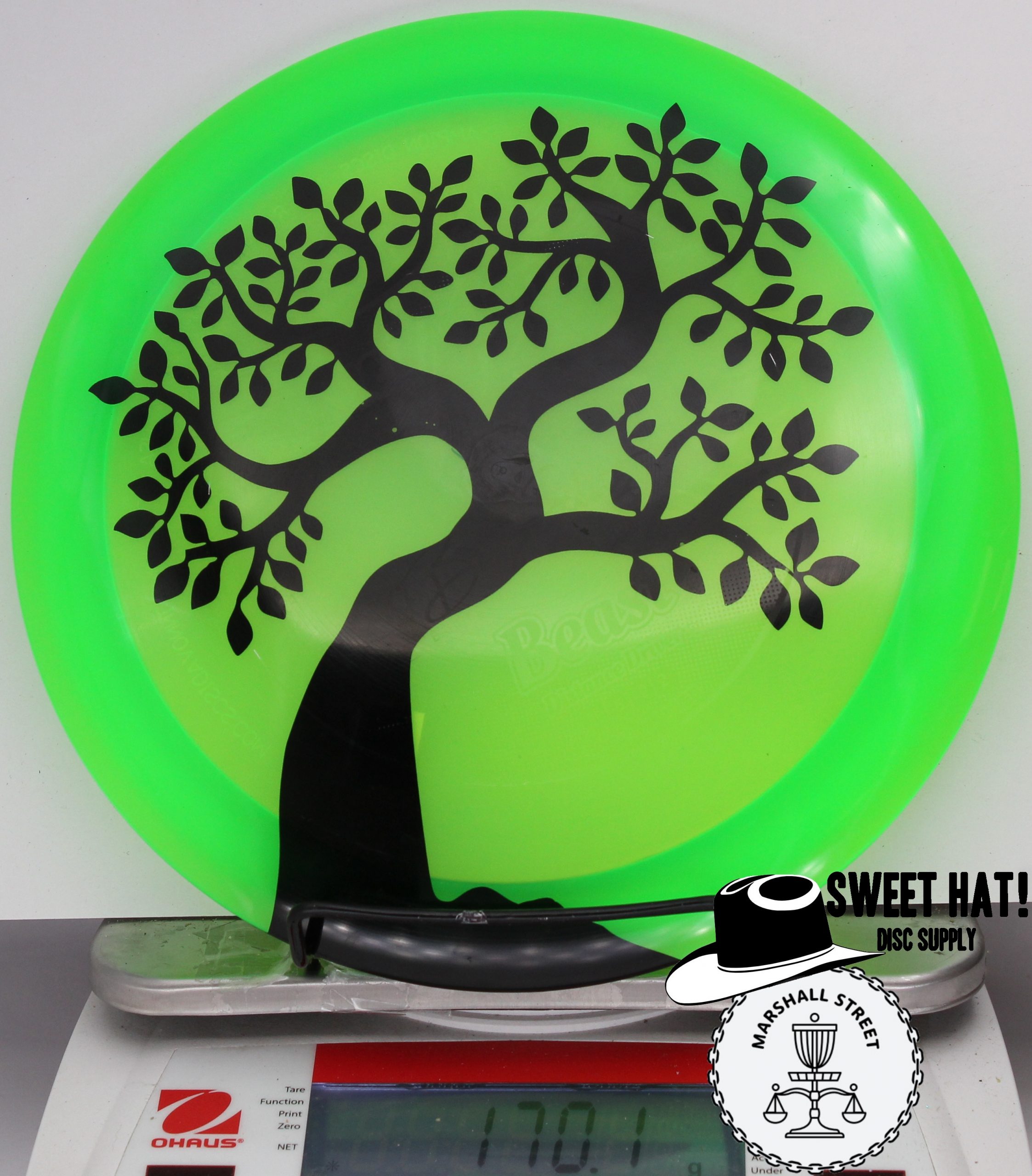 Champion Beast, Tree of Life • Marshall Street Disc Golf