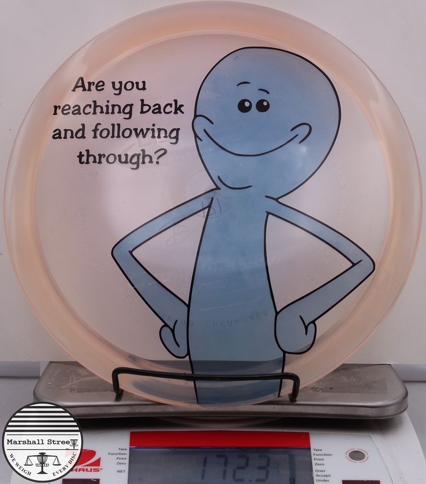 Champion Leopard Mr Meeseeks • Marshall Street Disc Golf