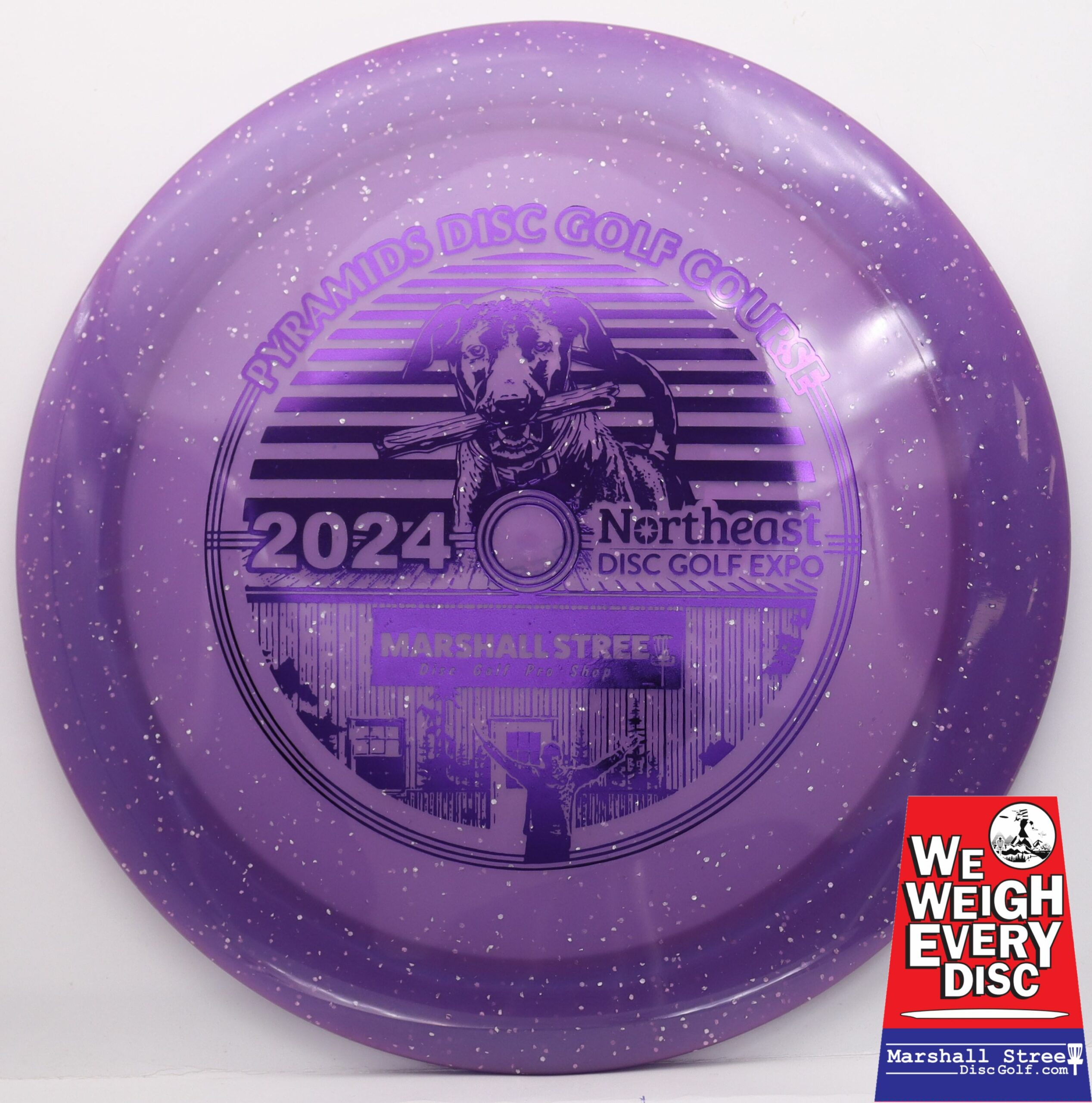 Metal Flake Champion Destroyer, NEDG Expo 2024 • Marshall Street Disc Golf