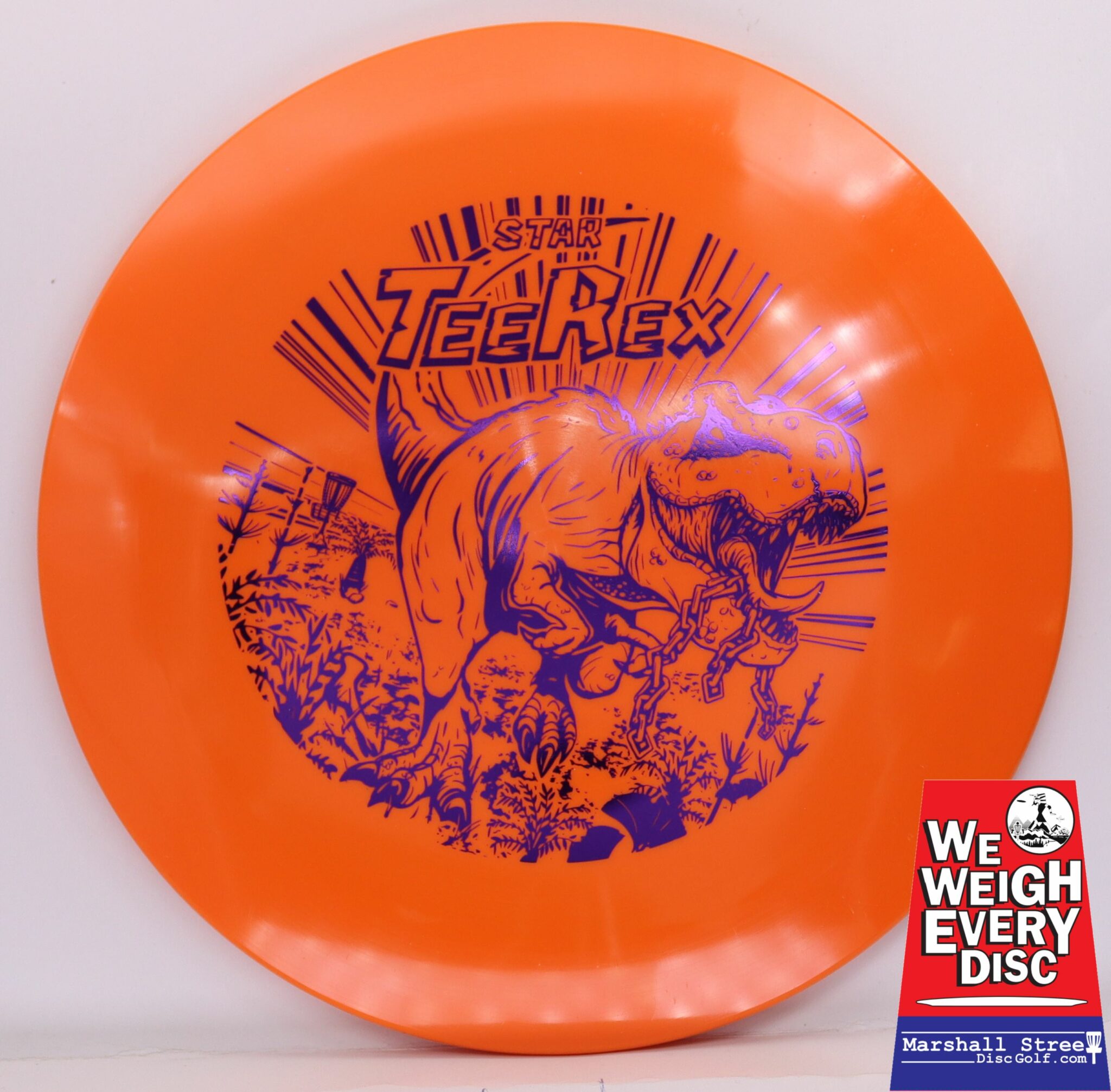 Star Teerex, Artist's Corner • Marshall Street Disc Golf