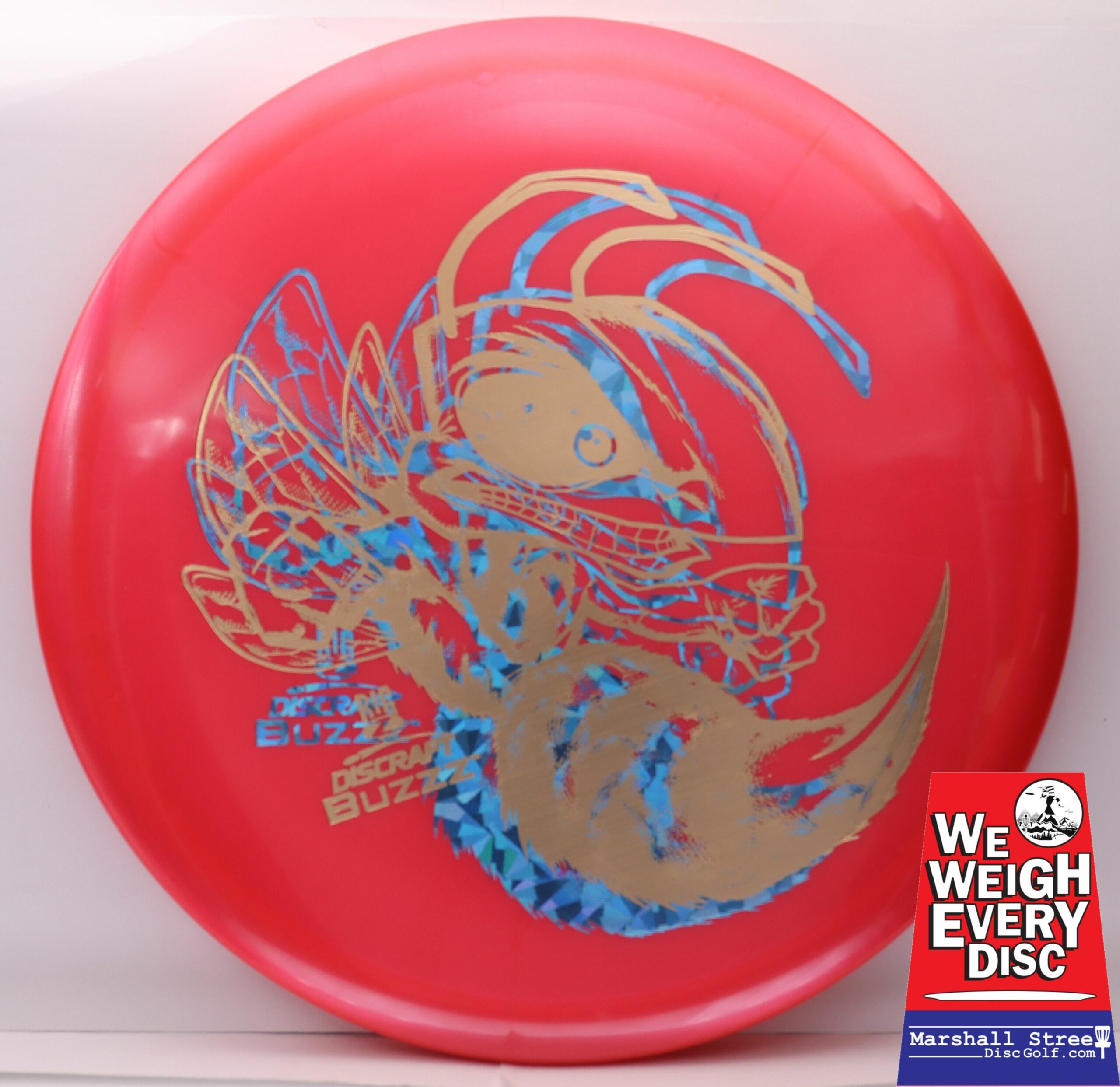 X-Out Big Z Buzzz • Marshall Street Disc Golf