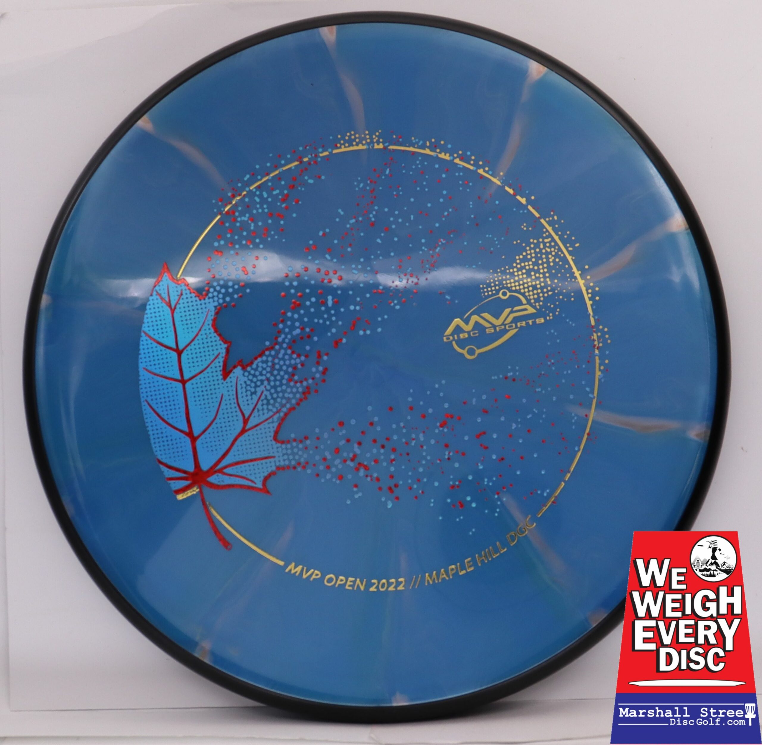 Plasma Entropy, 2022 MVP Open • Marshall Street Disc Golf