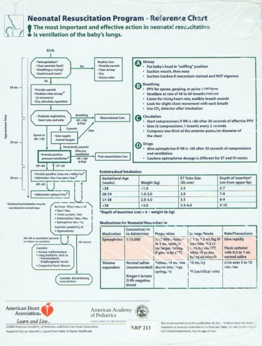 MatthewsBooks.com - 9781581102048 (1581102046) : Neonatal Resuscitation ...