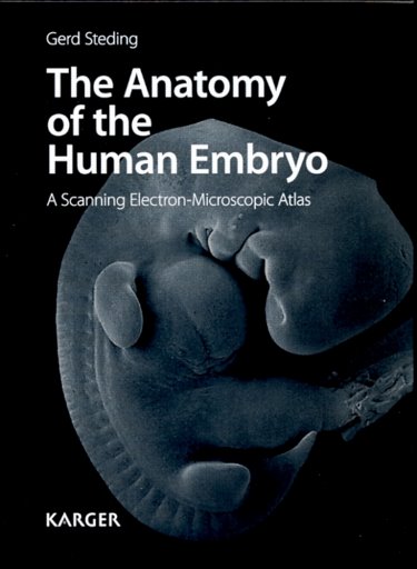Matthews MUSC Bookstore : Anatomy of the Human Embryo: A Scanning ...