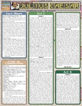 Matthews MUSC Bookstore : Julius Caesar Laminated Reference Chart