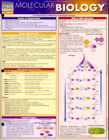 Matthews MUSC Bookstore : Molecular Biology Laminated Reference Chart