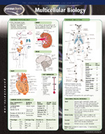 Matthews MUSC Bookstore : Multicellular Biology