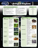 Matthews MUSC Bookstore : Biological Kingdoms Chart