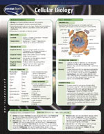 Campus Store : Cellular Biology Chart 2 Panel