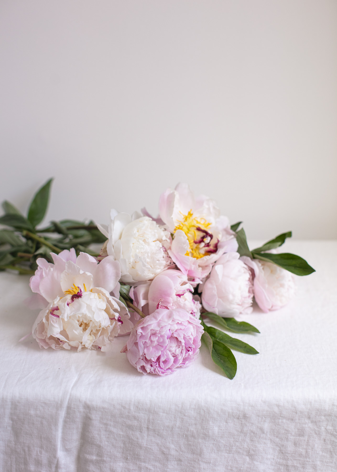 Elevae_23_0000005669