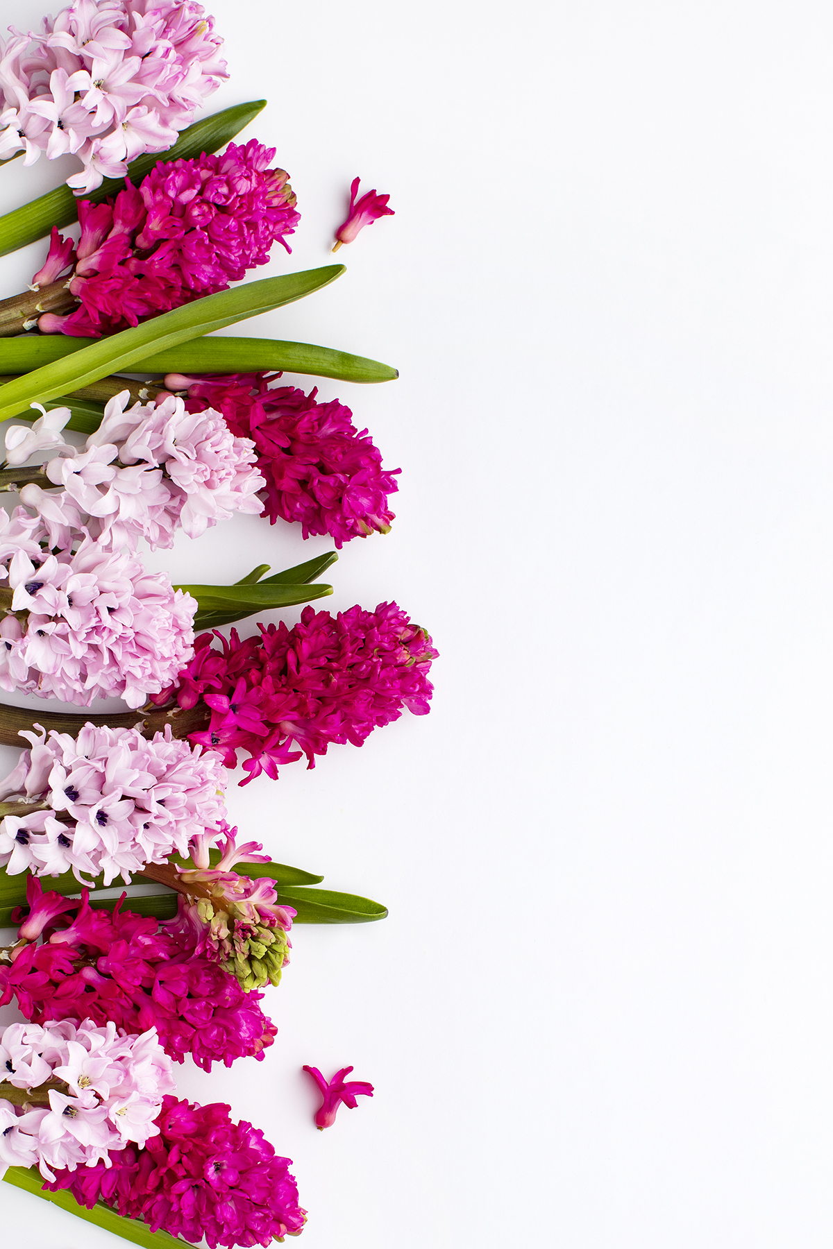 Elevae_23_0000005498