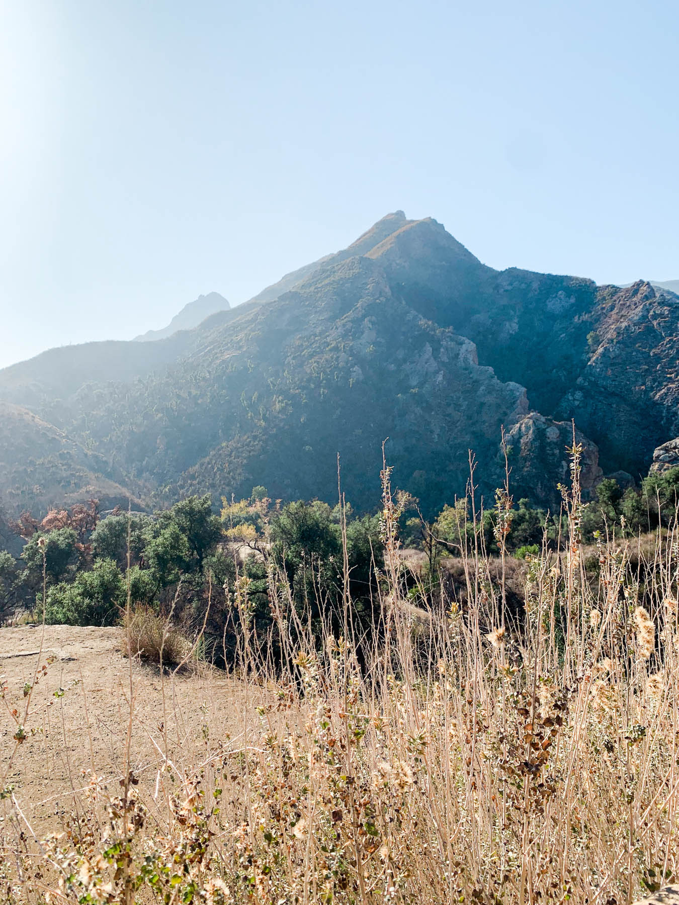 Elevae_23_0000005244