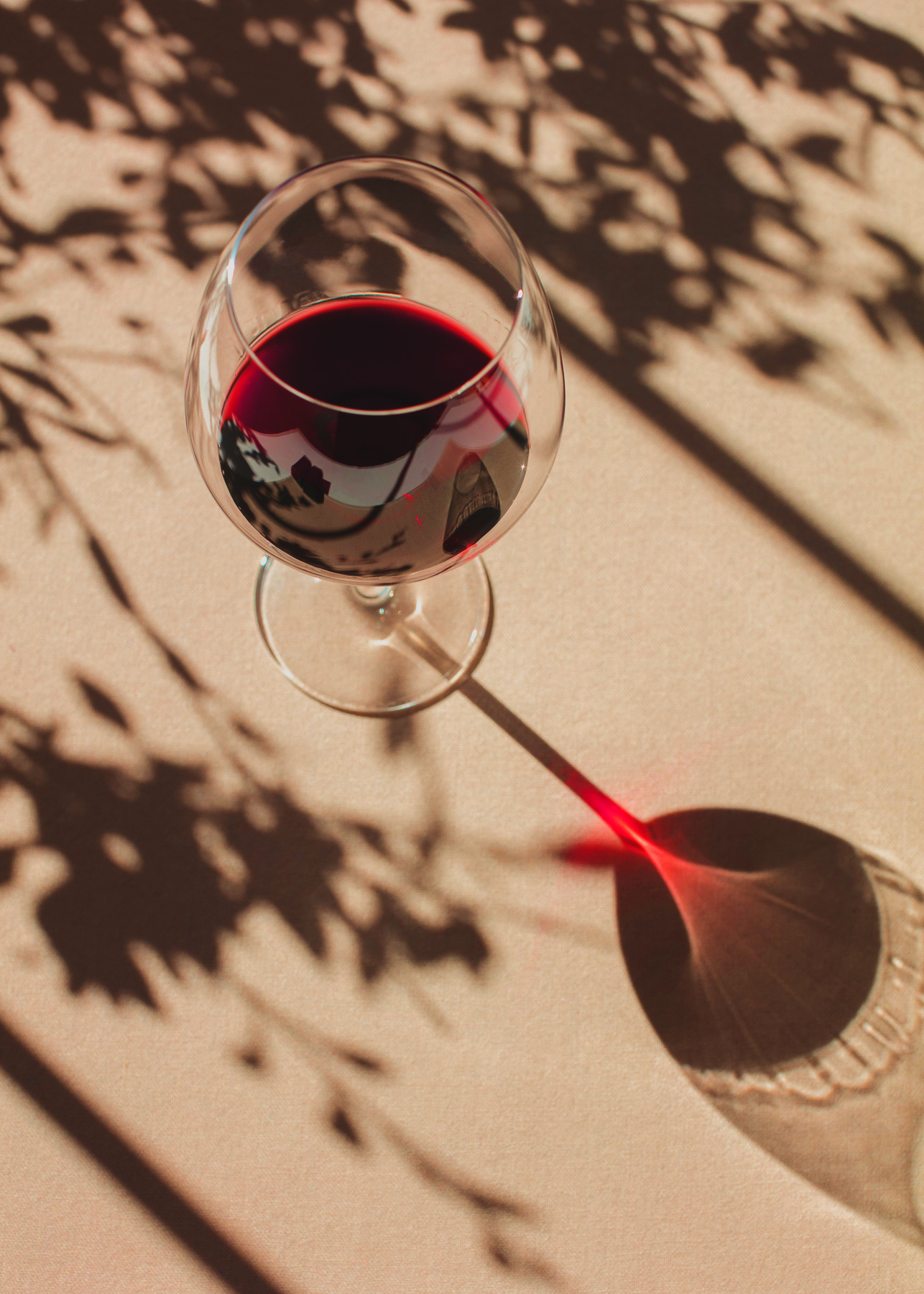 Elevae_23_0000005216