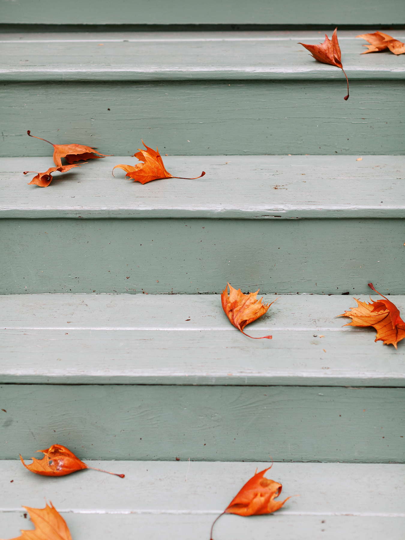 Elevae_23_0000005108