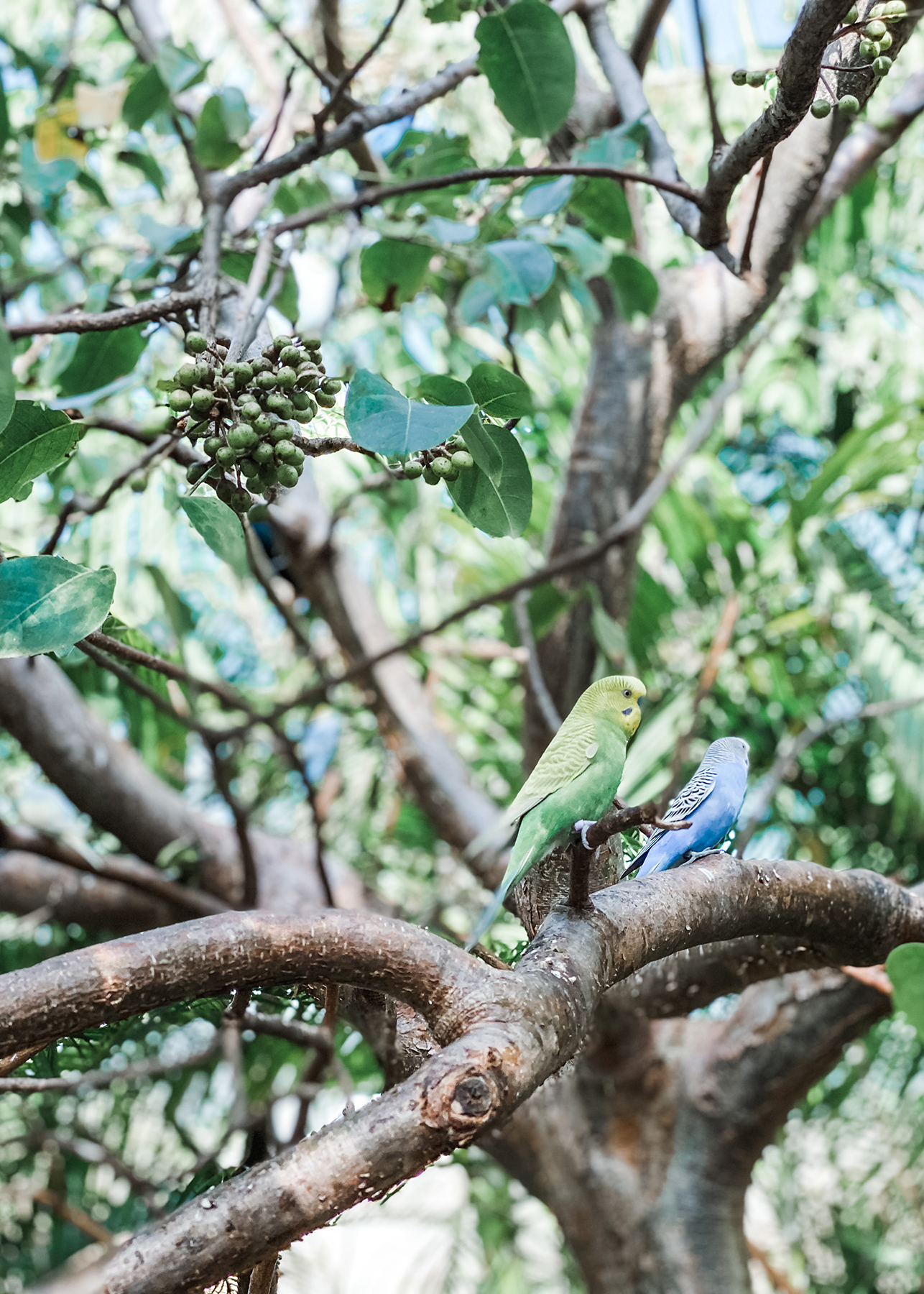 Elevae_23_0000004959