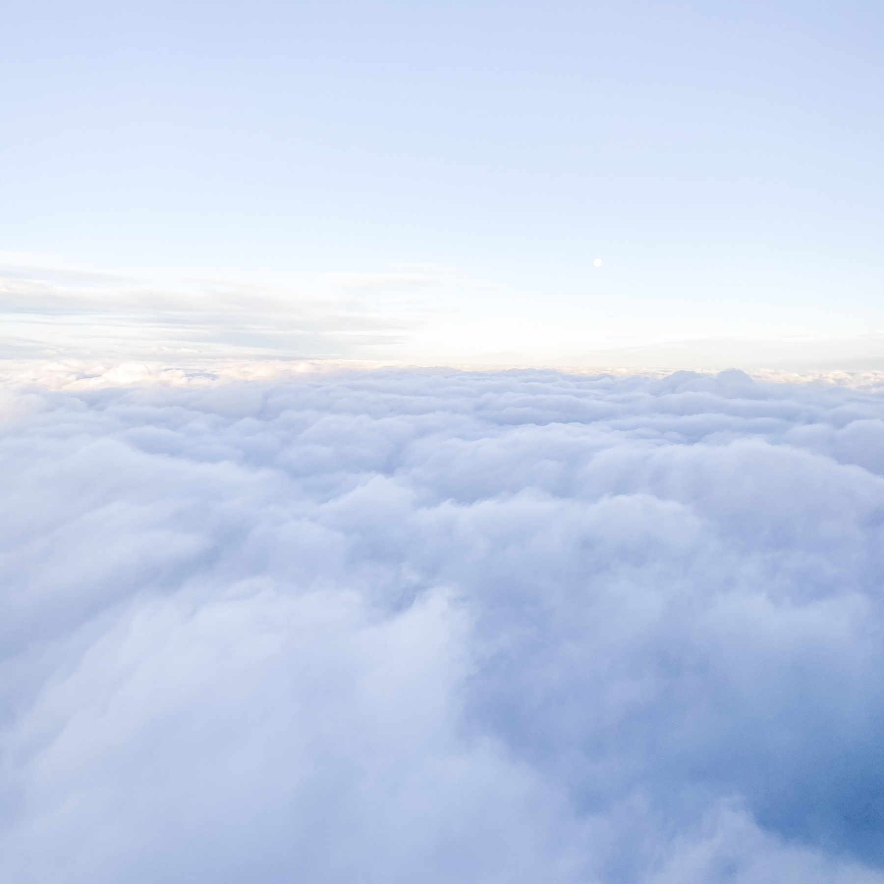 Elevae_23_0000004953