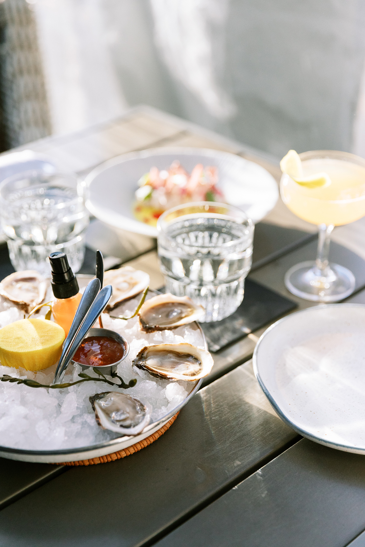 Elevae_23_0000004751