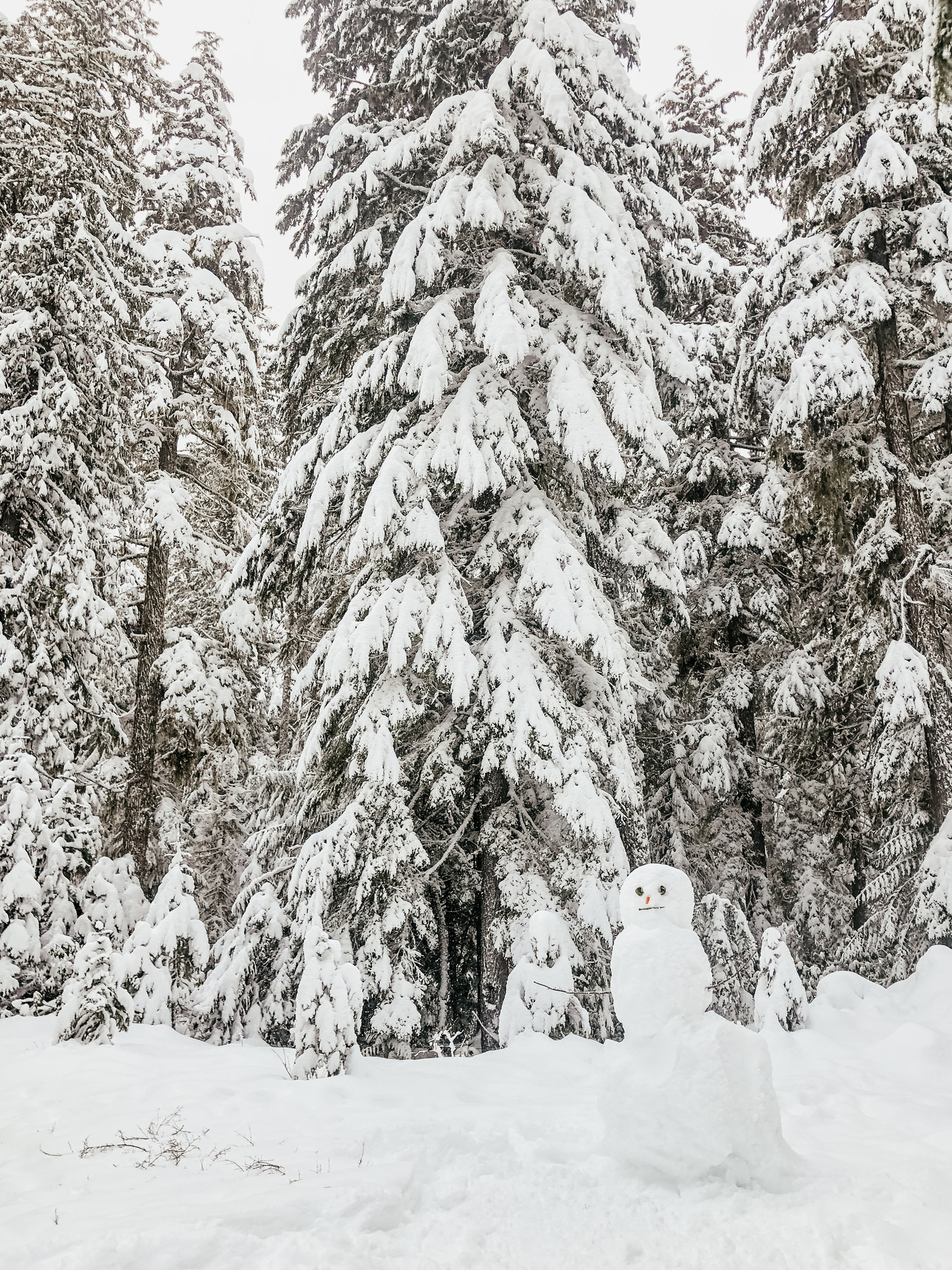 Elevae_23_0000004620